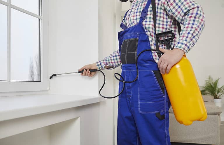 Winter Pest Control Tips | Lawn Plus LLC